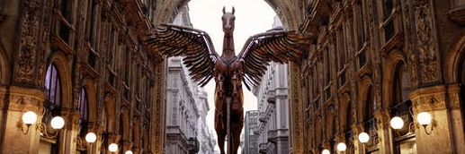 Husserl’s Terminology – Seek Truth